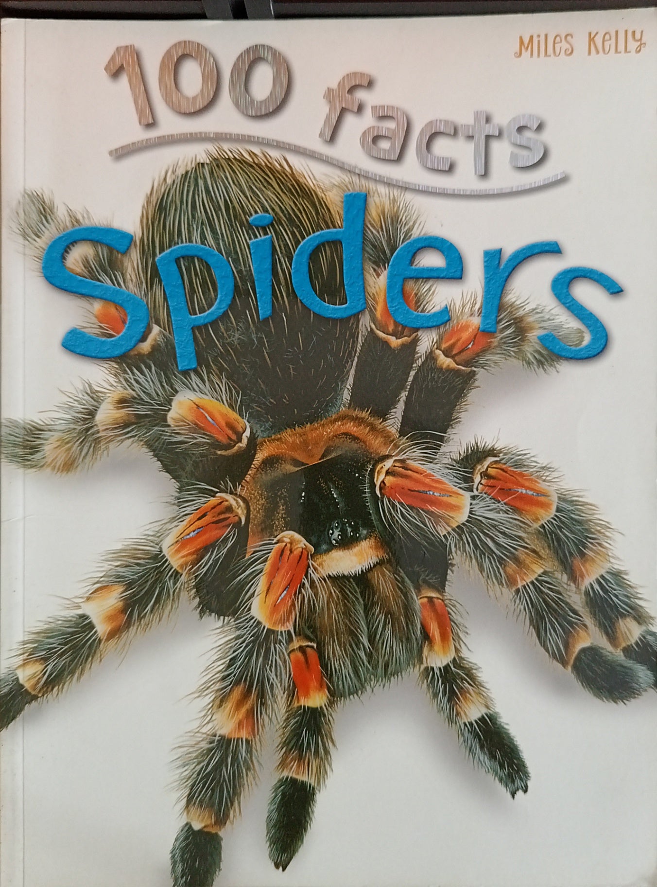 100 Facts Spiders