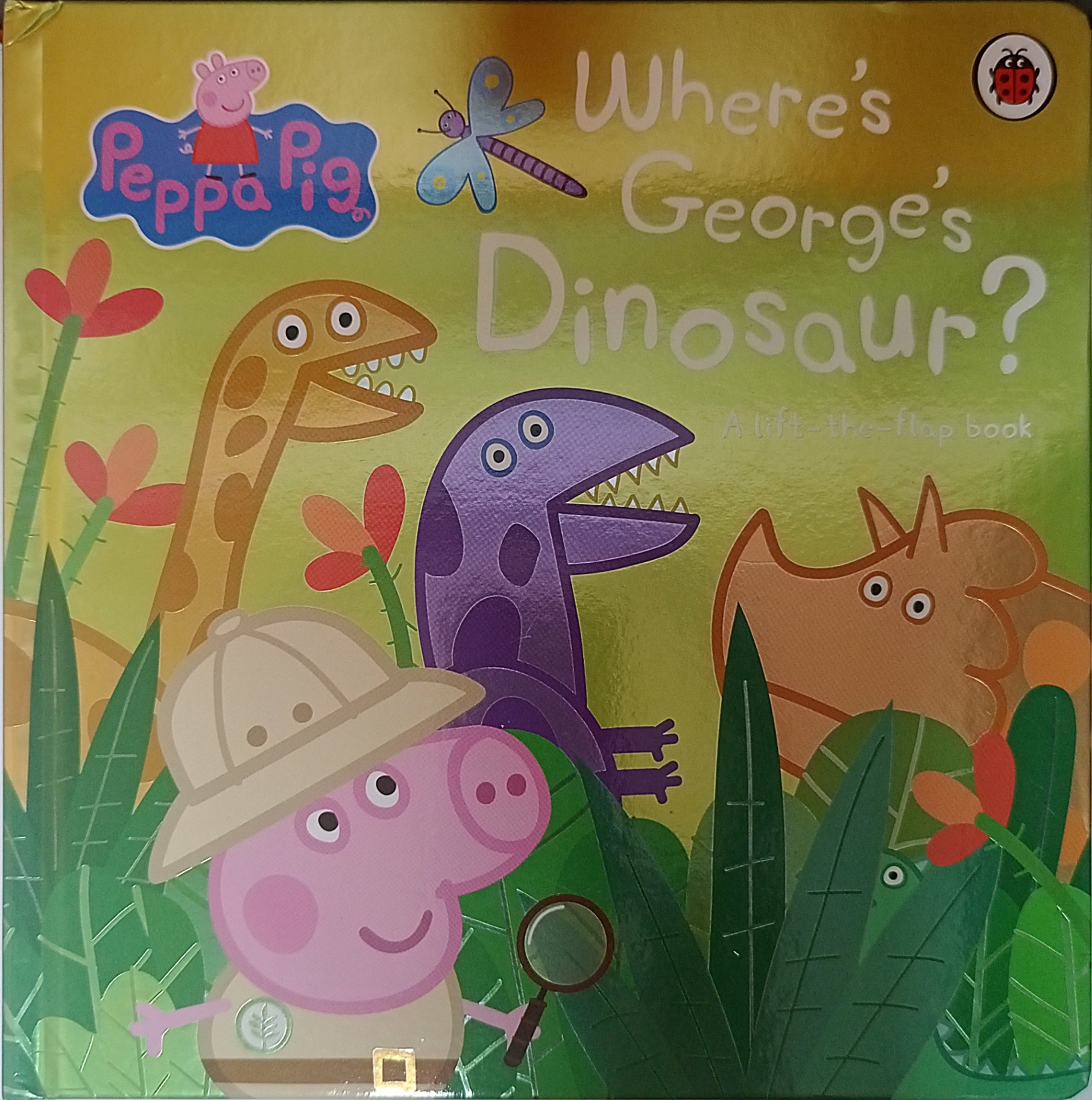 Where's George's Dinosaur?-A Lift the Flap Book