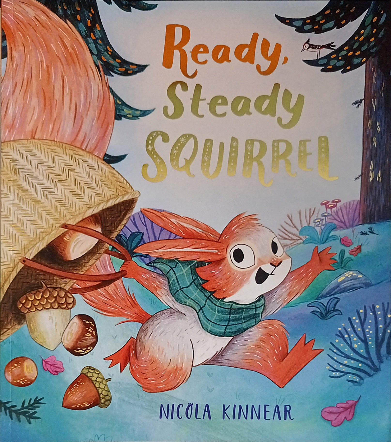 Ready, Steady Squirrel