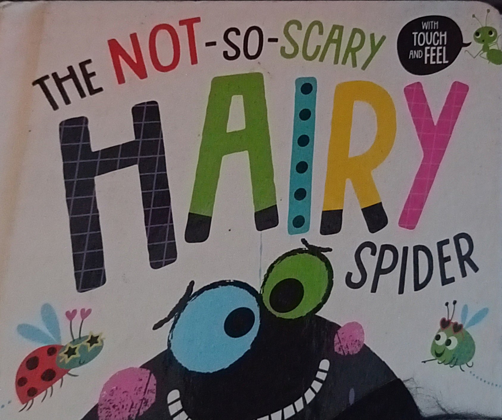 The Not-So-Scary Hairy Spider