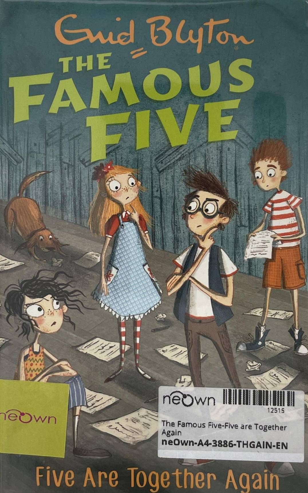 The Famous Five #21 Five are Together Again