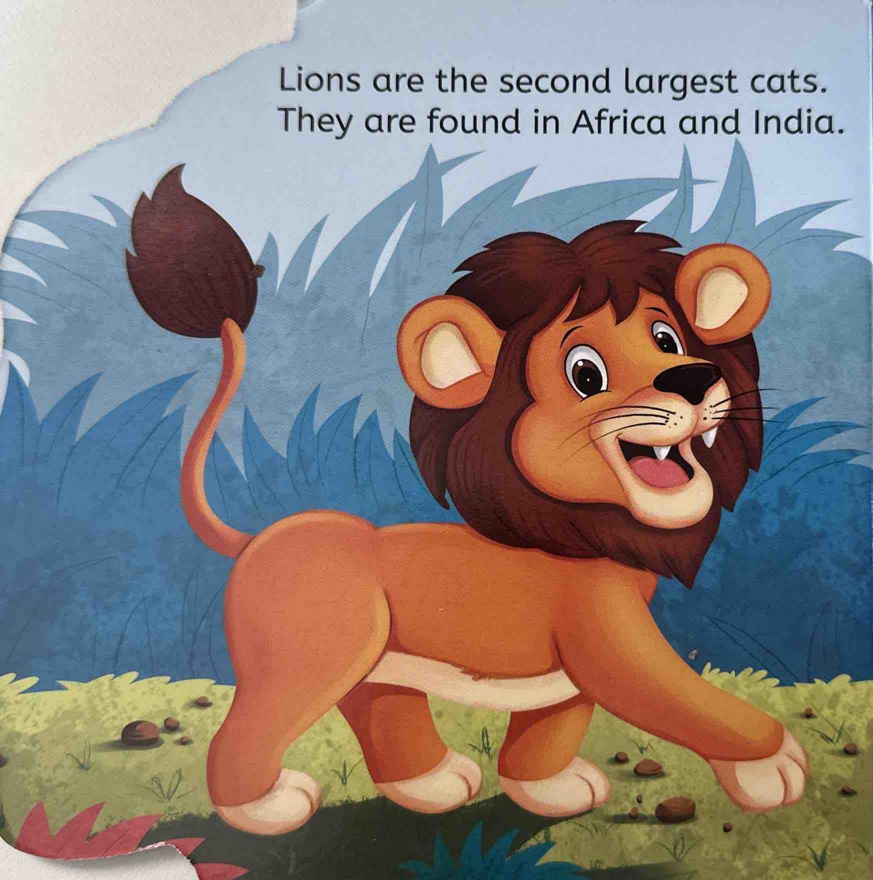 My First Shaped Board Book: My First Shaped Board Book Lion