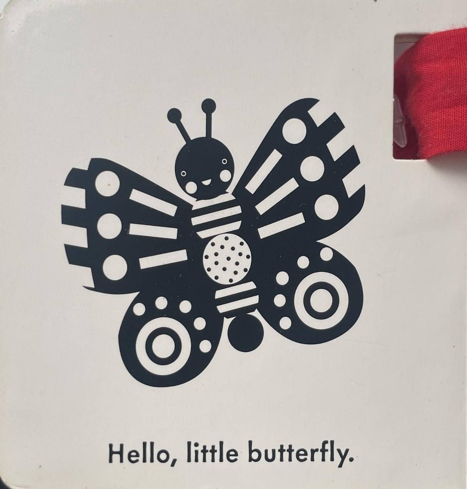 Baby Touch: A Black and White Buggy Book