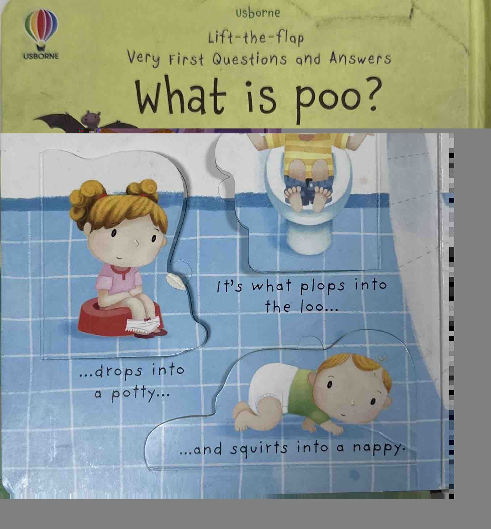 Very First Questions and Answers: What is Poo?