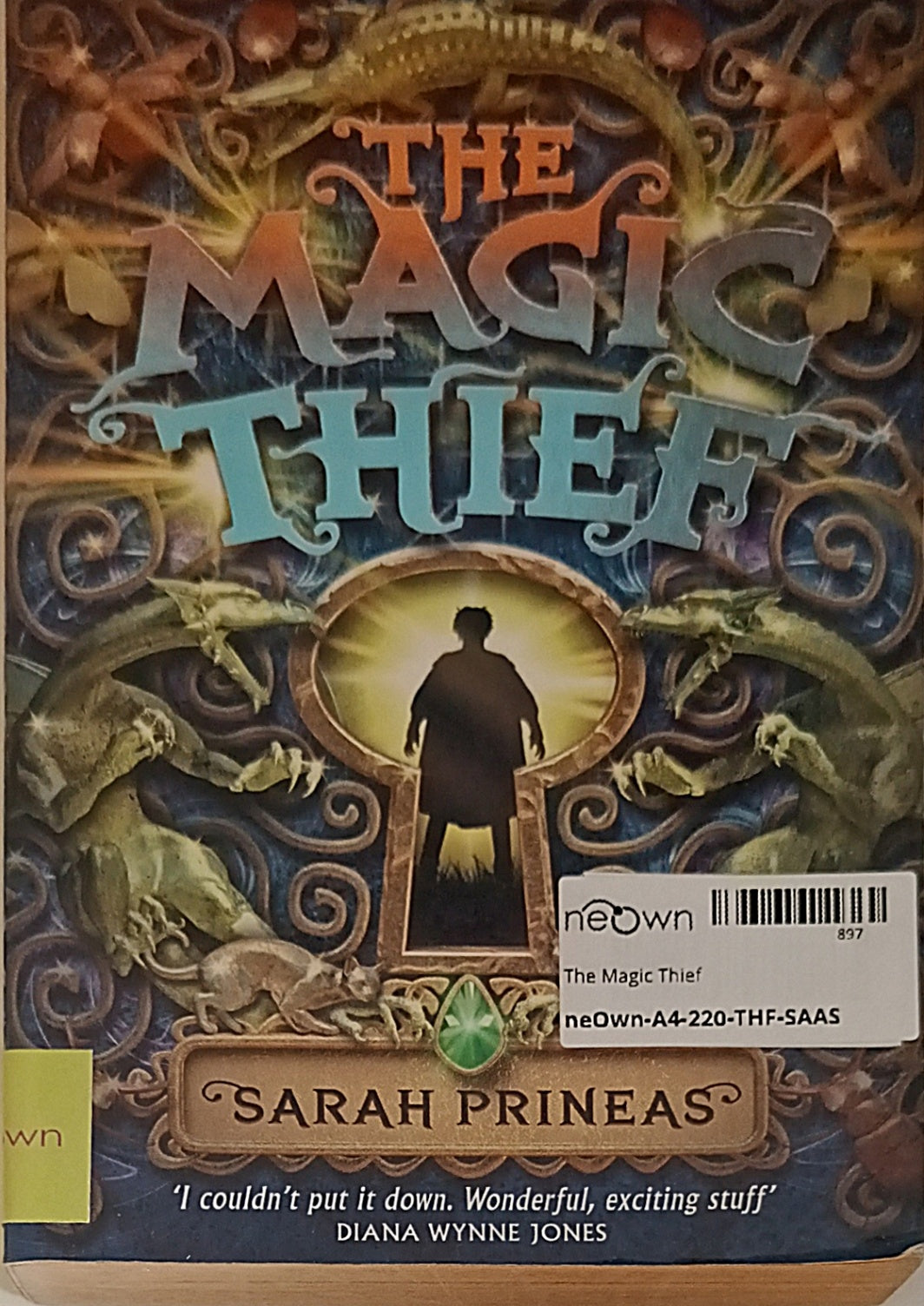 The Magic Thief