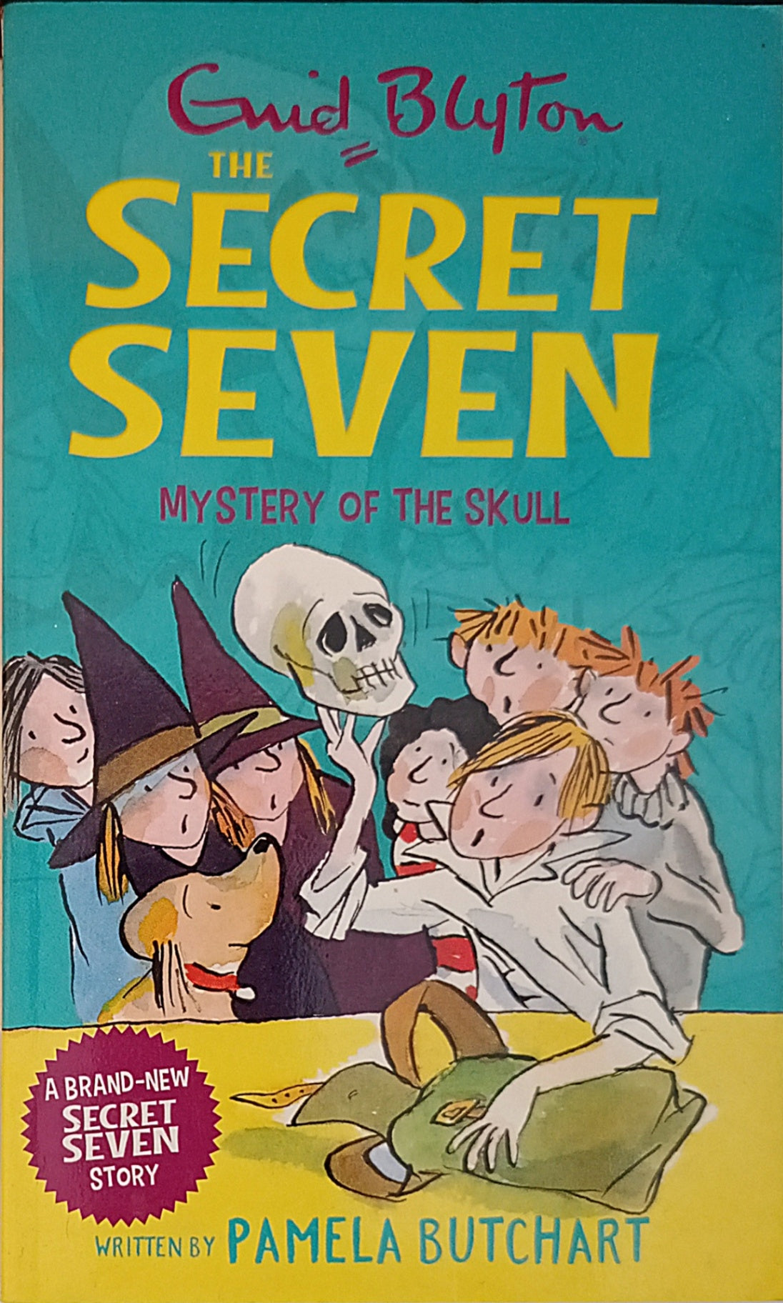 The Secret Seven Mystery of the Skull