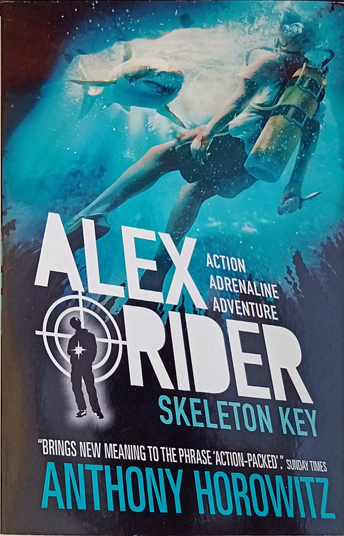 Alex Rider Skeleton Key