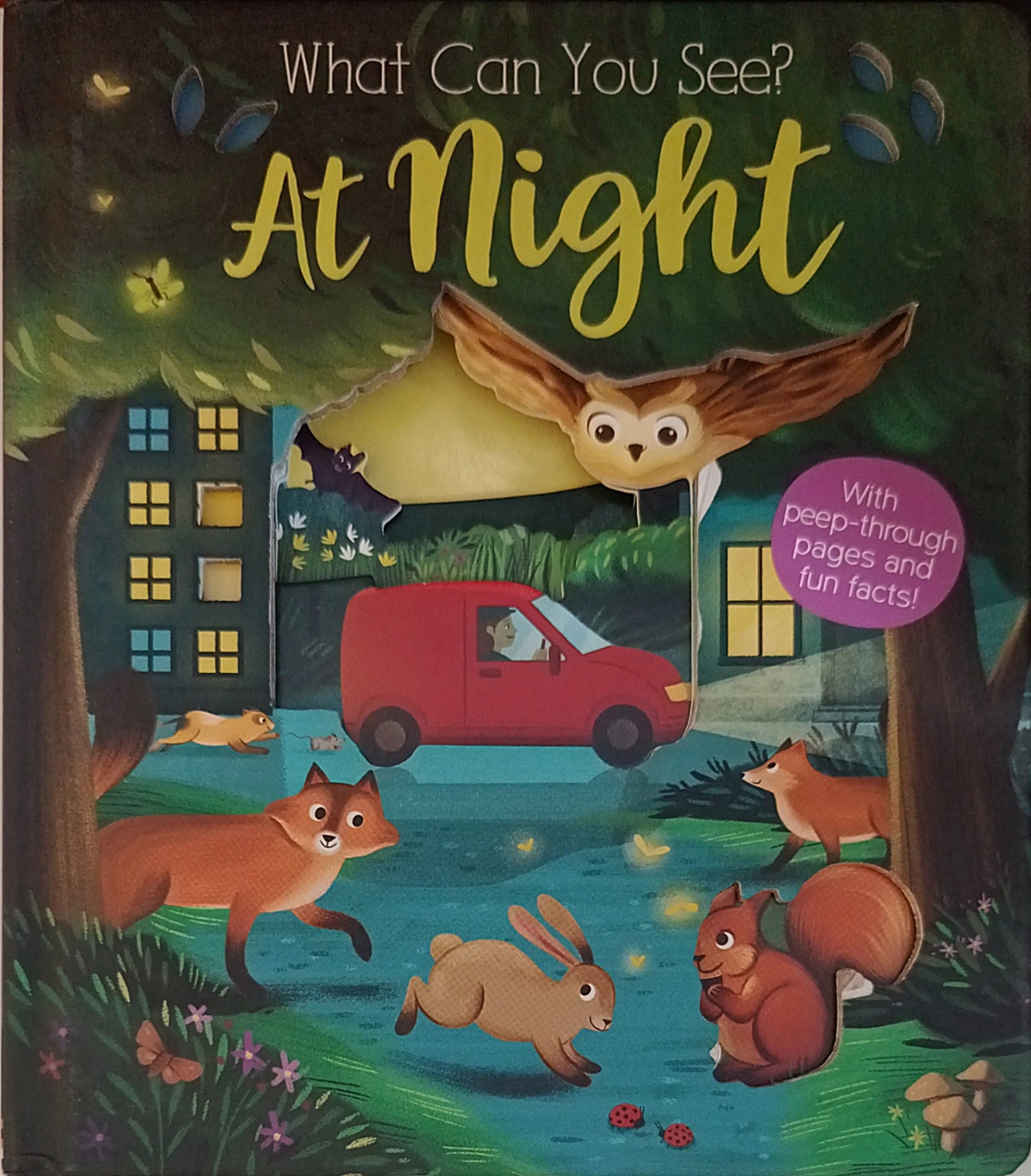 What Can You See?: What Can You See? At Night