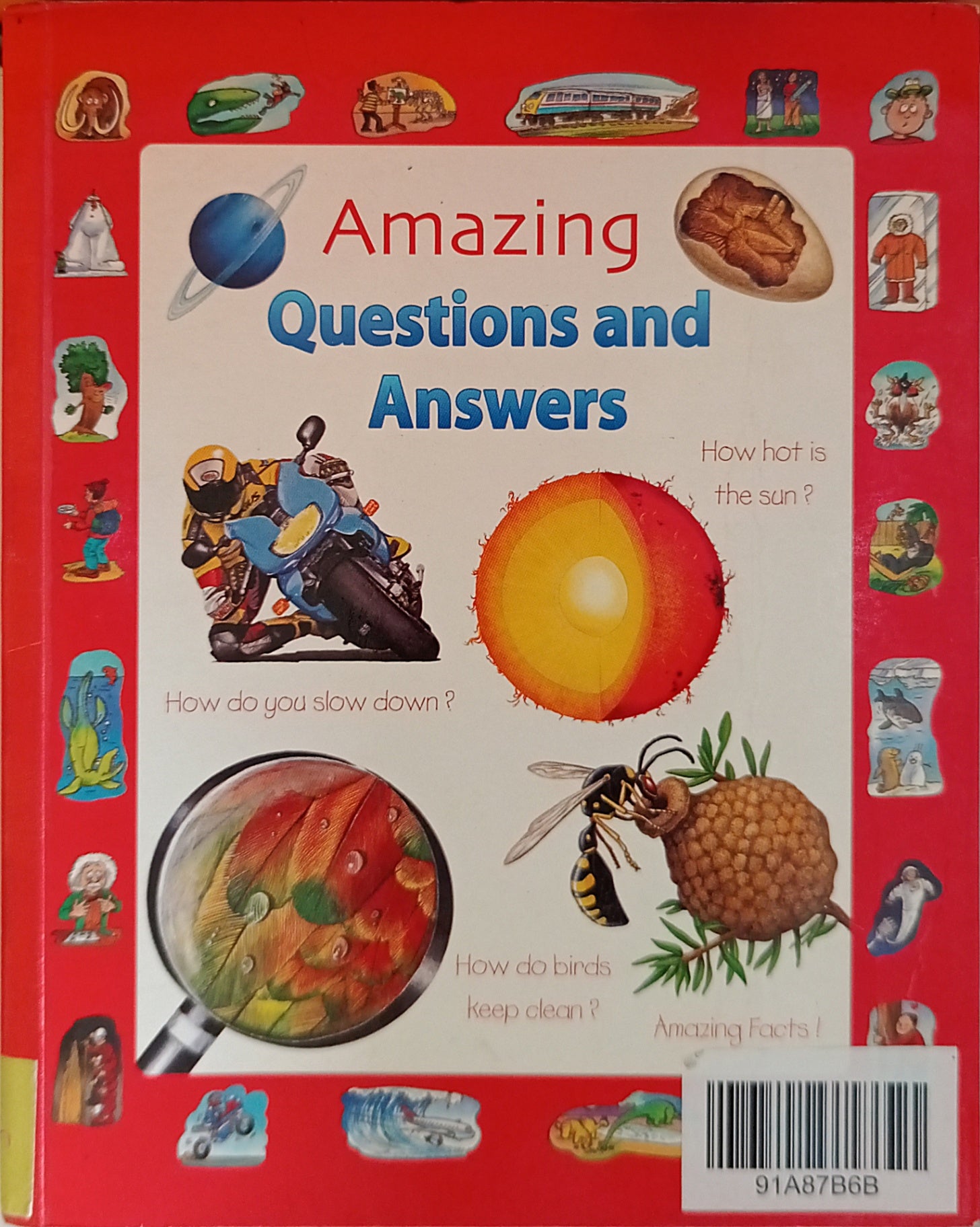 Amazing Question and Answers