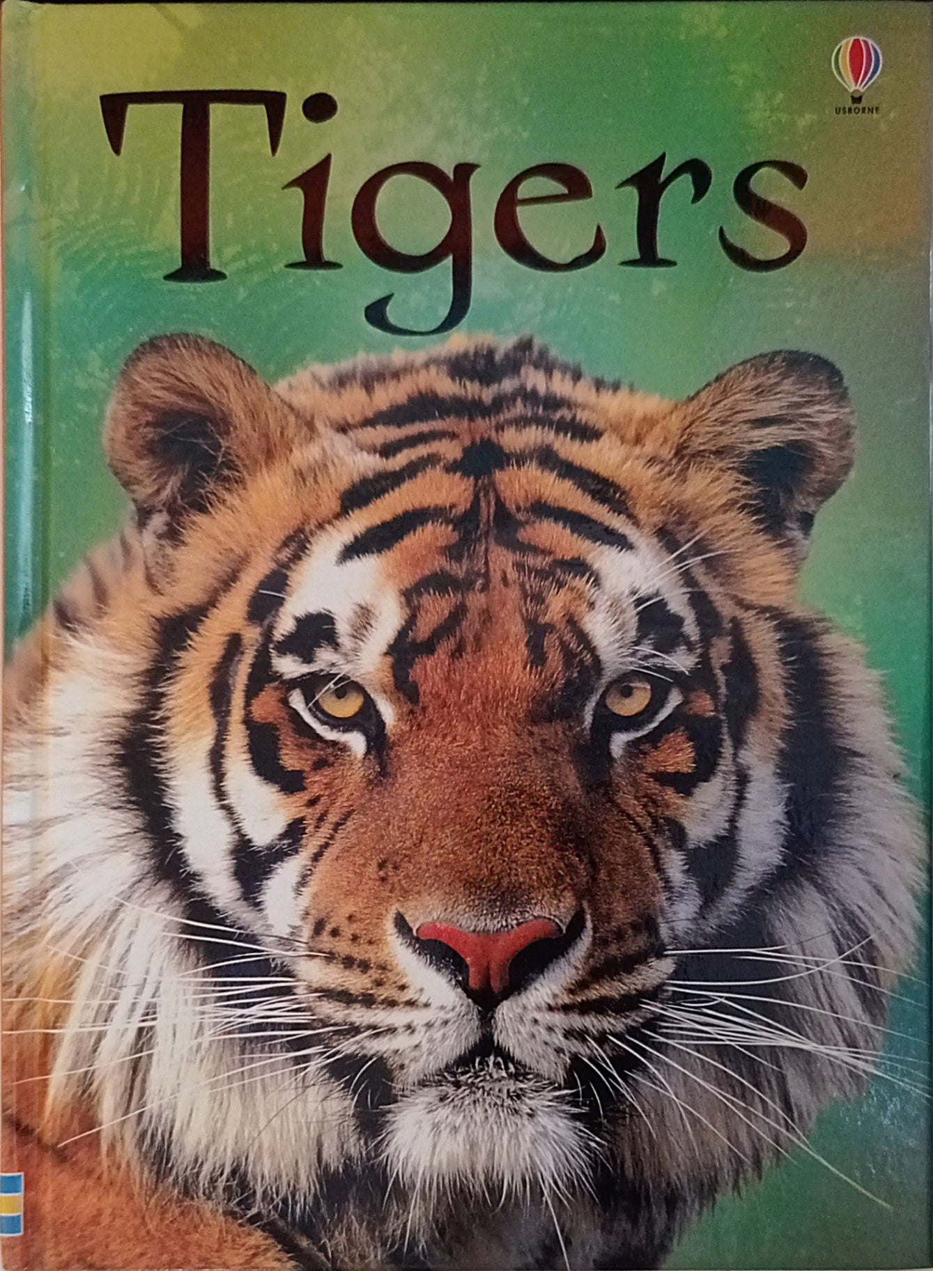 Usborne Beginners: Tigers