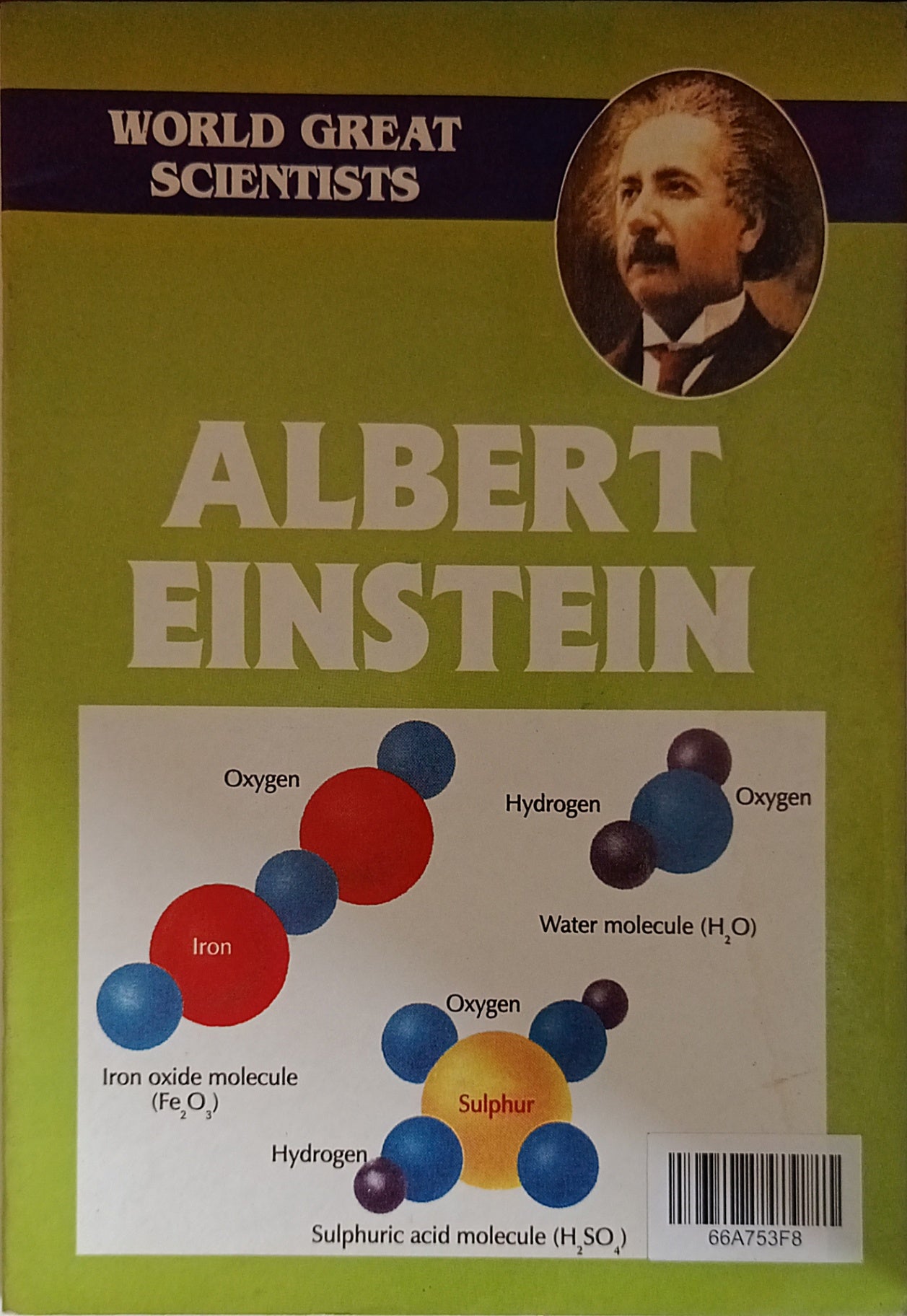 World Great Scientist Albert Einstein