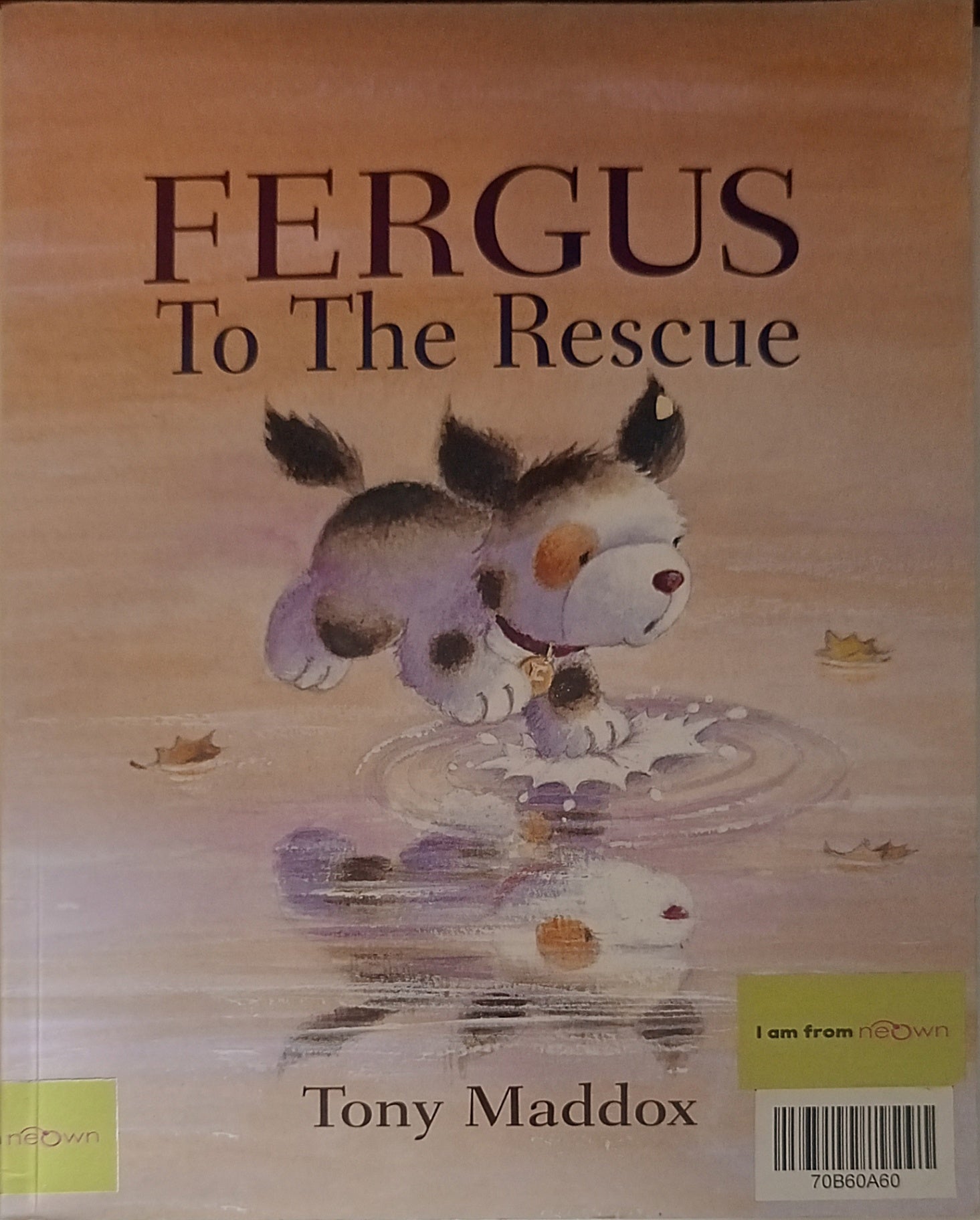 Fergus to the Rescue